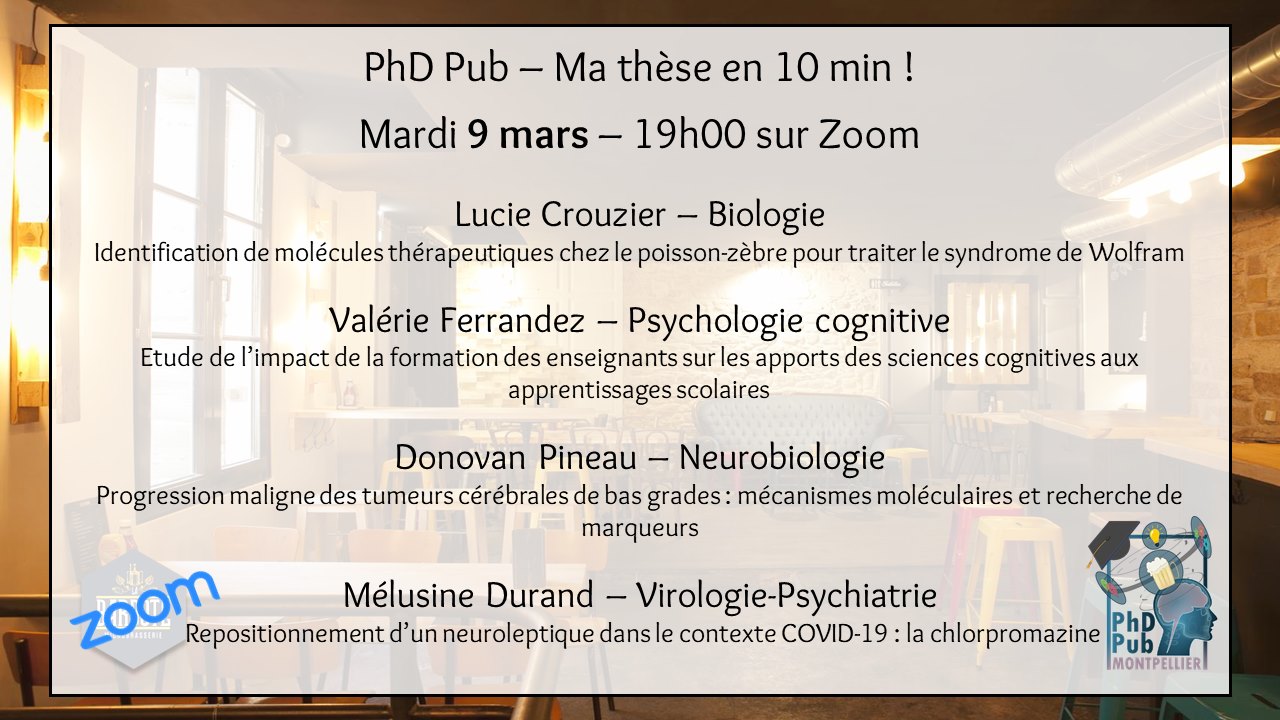 La Matinale du 04.03.2021 : PhD Pub Montpellier - Radio Campus Montpellier